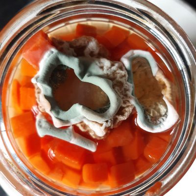 Ma Préparation Fermentée est-elle Comestible ? - Atelier Fermentation