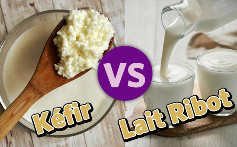Le Kéfir : Boisson Fermentée à base de Lait ou d'Eau et de fruit